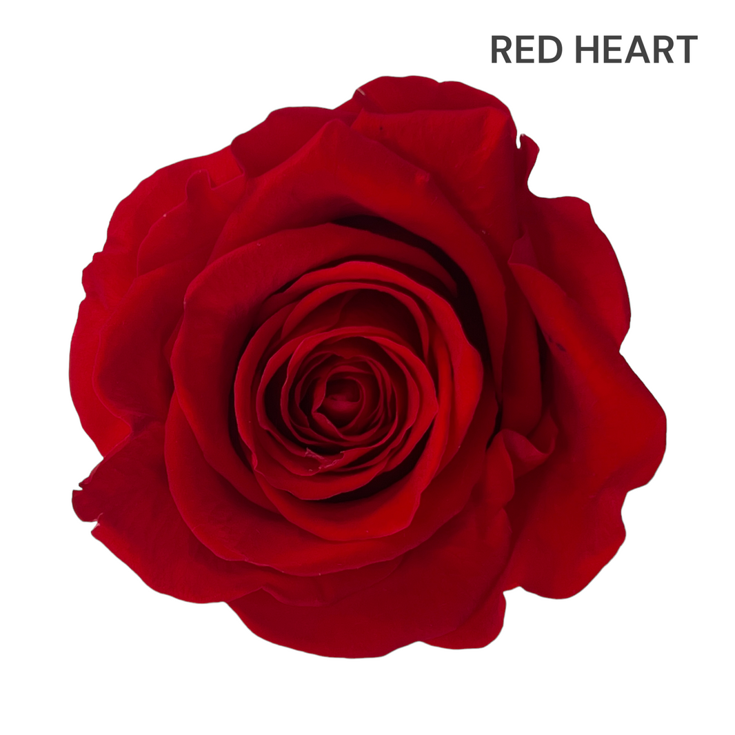 Eternal Roses & Box Arrangements | Nature Of Roses Toronto