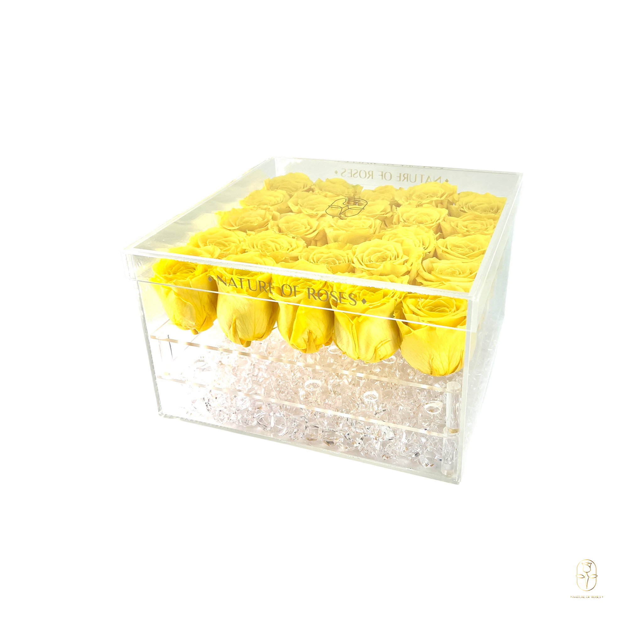 Toronto Preserved Roses Acrylic Collection | 25 Roses